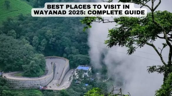 Best Places to Visit in Wayanad 2025: Complete Guide - Tour Babari