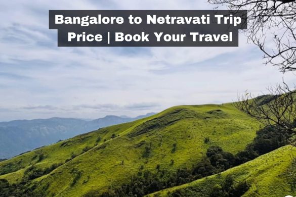 A Complete Guide for Vaishno Devi Darshan 2025 - Tour Babari